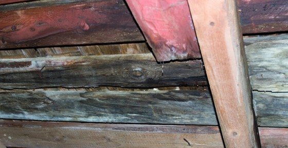 Fukt och mögel på vind - Kunskapsbanken för ditt hus - Polarpumpen.se